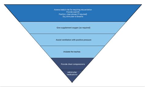 Neonatal Resuscitation Program Wall Chart Th Edition AED OFF
