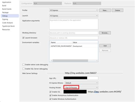 C Net Core Hosting To Iis I Get Error 50030 Ancm In