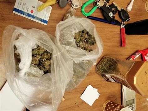 38 годишна жена се озова с белезници в ареста след 123 грама марихуана Gabrovo News