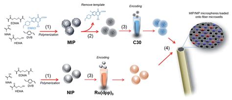 Fiber Optic Array Using Molecularly Imprinted Microspheres For Antibio