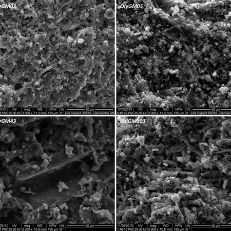 Scanning Electron Micrographs Secondary Electron Mode Of Fragments Of