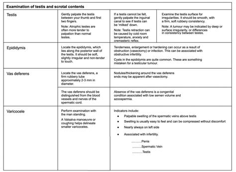 Step By Step Male Genital Examination Clinical Summary Guide Healthy Male