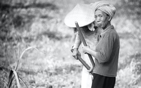 Call For Submissions On The Use And Application Of The Cfs Framework