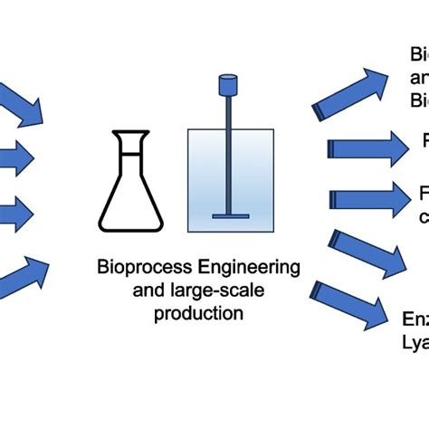 Schematic Representation Of Value Added Produced By R Toruloides On