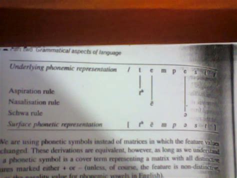 The Function Of Phonological Rules