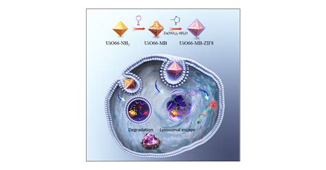 Rational Design Of A Dual Layered Metalorganic Framework Nanostructure For Enhancing The Cell