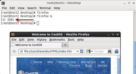 how to run a process in background or bring to foreground in linux