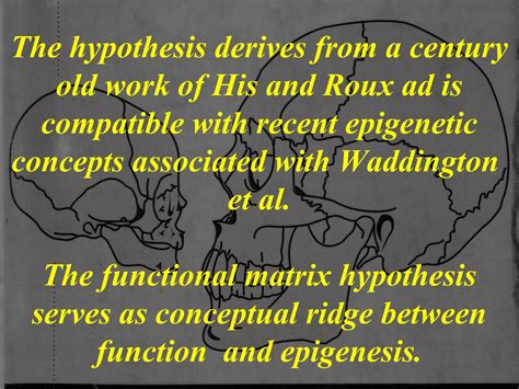 Functional Matrix Theory Ppt