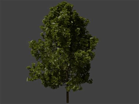 Tree Finished Projects Blender Artists Community