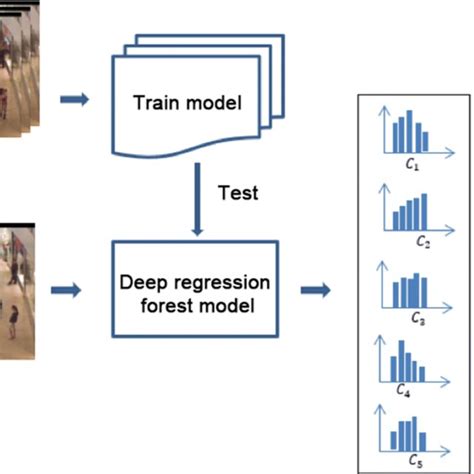 crowd counting algorithm framework it contains training phase and test
