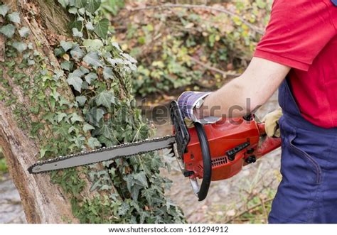 Man Chainsaw Pruning Tree Day Light Stock Photo 161294912 Shutterstock