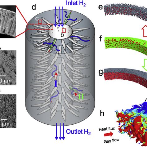 The Hierarchical Microstructure Of The Hf Sofc Anode A 3d Volume Download Scientific Diagram