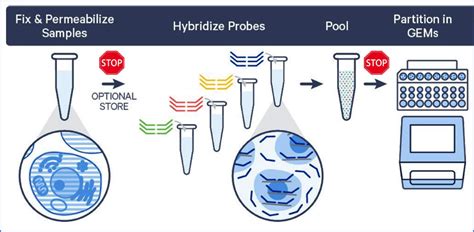 10x Genomics New Single Cell Product Updates Diagnostech South Africa