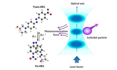 Left Trans Cis Photoisomerization Of An Azo Dye Eg Dr1 Right Download Scientific