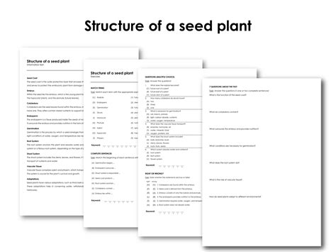 Structure Of A Seed Plant Made By Teachers
