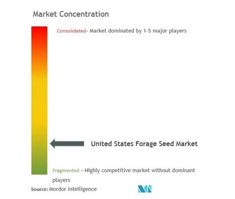 미국 마초 종자 시장 규모 및 점유율 분석 산업 연구 보고서 성장 추세 미국 마초 종자 시장 규모 및 점유율 분석 산업 연구 보고서 성장 추세