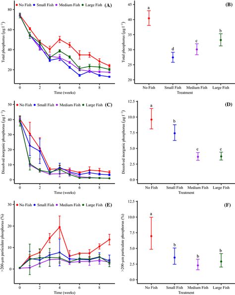 Temporal Dynamics Of Total Phosphorus A Dissolved Inorganic Download Scientific Diagram
