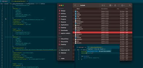 Trying To Compile The First Lesson With Initwindow Raylib Ask