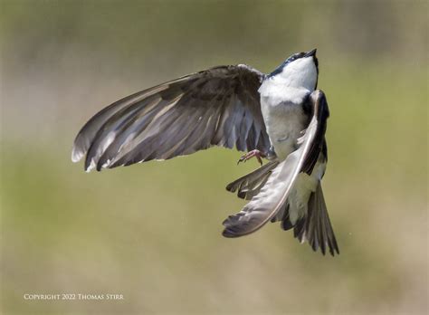 Working Around Rolling Shutter Small Sensor Photography By Thomas Stirr