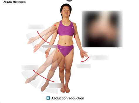 Angular Movements Diagram Quizlet