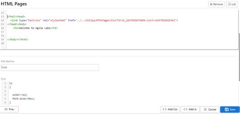 Html Plug Ins Agile Developer