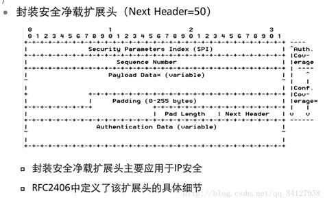 ipv6地址和报文结构详解 ipv6帧结构 csdn博客