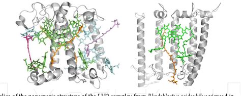 Figure 1 From Time Resolved Ftir Difference Spectroscopy Reveals The Structure And Dynamics Of