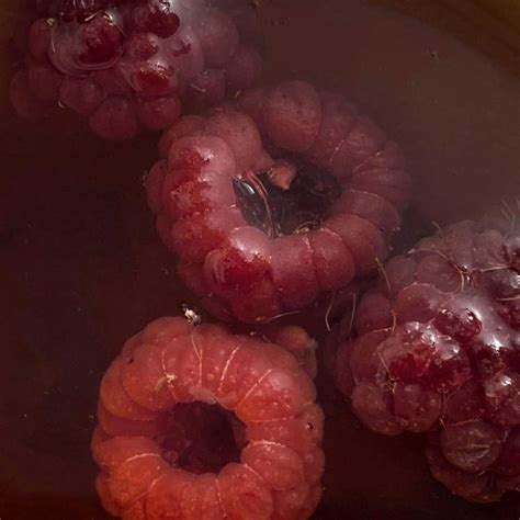 Пин от пользователя May на доске Aesthetic Сайка Лили эванс Идеи картины