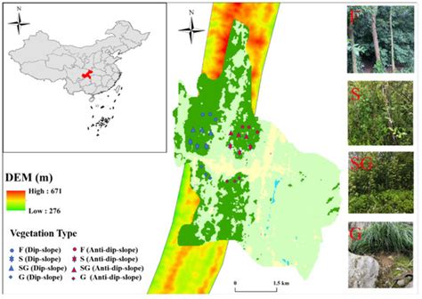 Responses of Soil Enzyme Activity and Microbial Nutrient Limitations to Vegetation Types in a ...