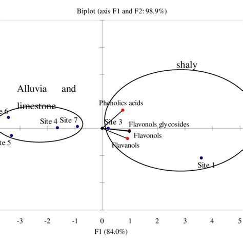 Pca Biplot Of Correlations Between Sites And Polyphenol Compounds Download Scientific Diagram