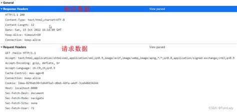 【java Web】004 Maven And Springbootweb入门springboot Web Maven Csdn博客