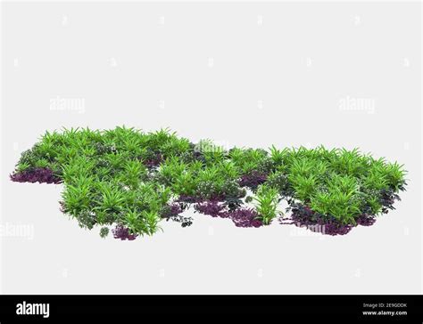 Foliage Landscape For Photo Manipulation Isolated On White And Black Background 3d Rendering