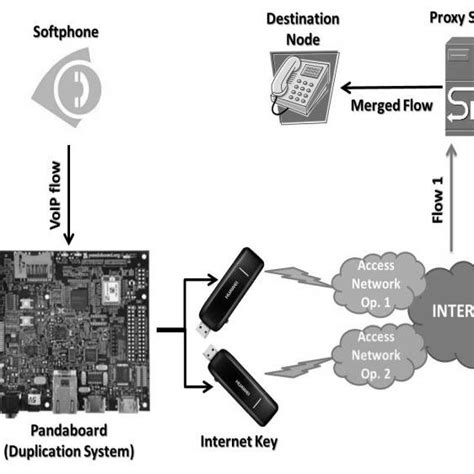 Overview Of The Duplication System Download Scientific Diagram