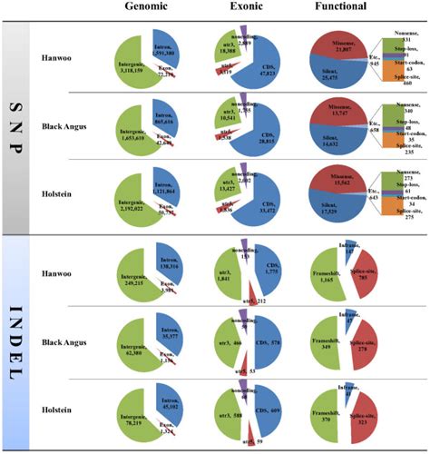 Genetic Variations In Hanwoo Black Angus And Holstein Download Scientific Diagram