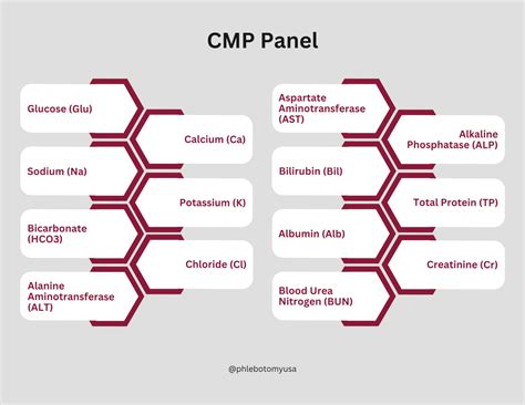 What Your Cmp Results Are Telling You Phlebotomy Usa