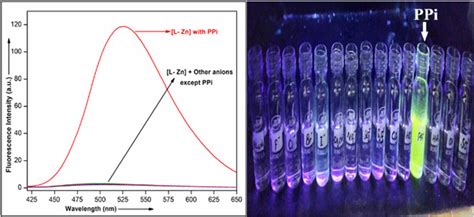 Zinc‐terpyridine Based Chemosensor For Detection Of Pyrophosphate Anion
