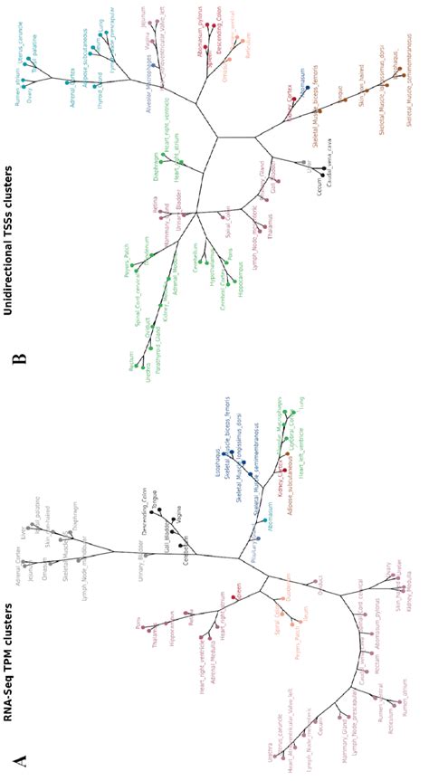 The Network Analysis Of Tissue Tss And Gene Expression Profiles In 52