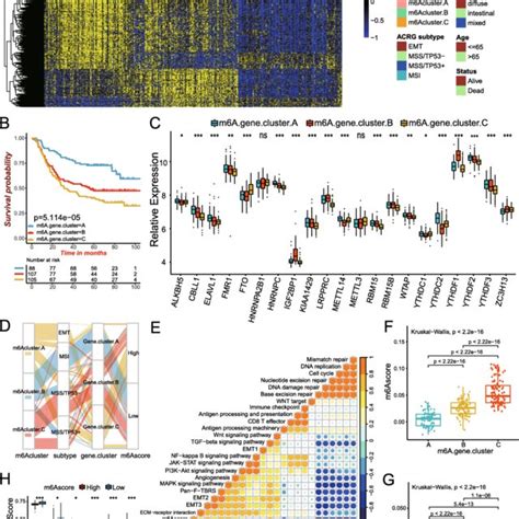 construction of m⁶a signatures a unsupervised clustering of