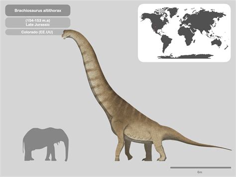 Perfil Brachiosaurus Altithorax By Paleohistoric On Deviantart