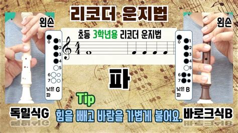 초등학교 3학년용 리코더 운지법 Youtube