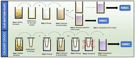 Methods Used For The Eradication Of Staphylococcal Biofilms