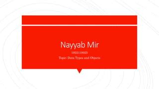 Data Types Objects Pptx