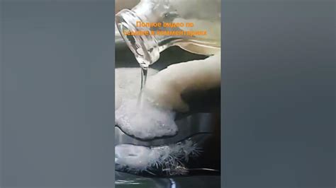 Горячий лед - YouTube