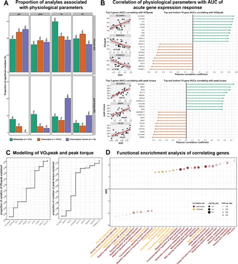Molecular Profiling Of High Level Athlete Skeletal Muscle After Acute Endurance Or Resistance