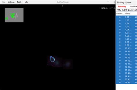 Bigstitcher Stitching Irregularly Arranged Tiles From Metadata Coordinates Resulting In