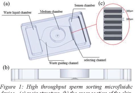 Figure 1 From High Throughput Sperm Sorting Microfluidic Device For Livestocks Sperm Motility