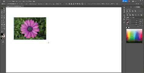 How To Use Scale Tool In Illustrator
