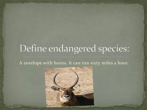 Ppt Protect The Pronghorn Antelope Preserving A Fast And Endangered