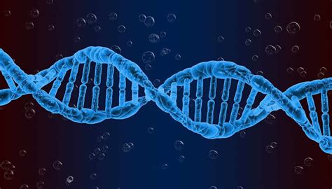 Human Genetic Engineering