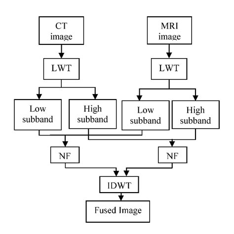Figure 1 From Ct And Mri Image Fusion Based On Wavelet Transform And Neuro Fuzzy Concepts With